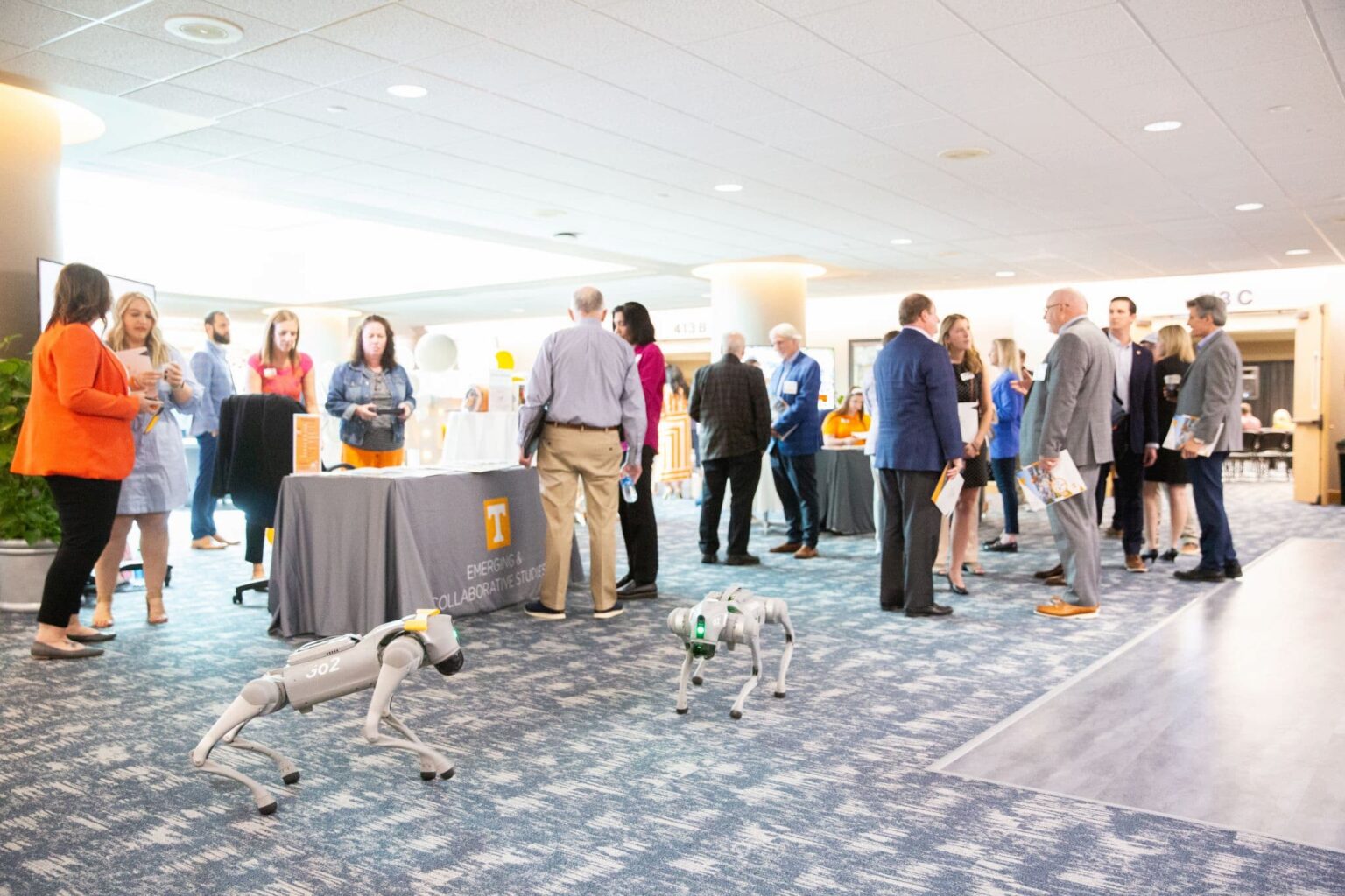 College of Emerging and Collaborative Studies - University of Tennessee ...