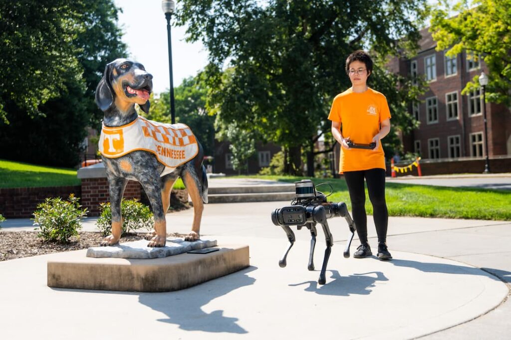 College of Emerging and Collaborative Studies - University of Tennessee ...