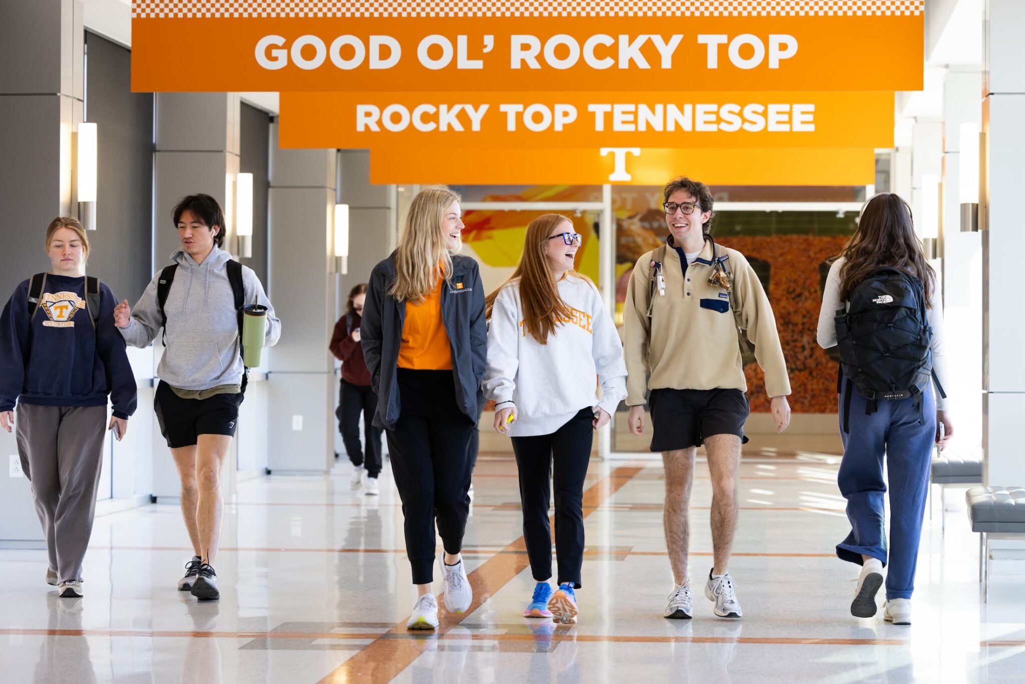 Undergraduate Programs - University of Tennessee, Knoxville