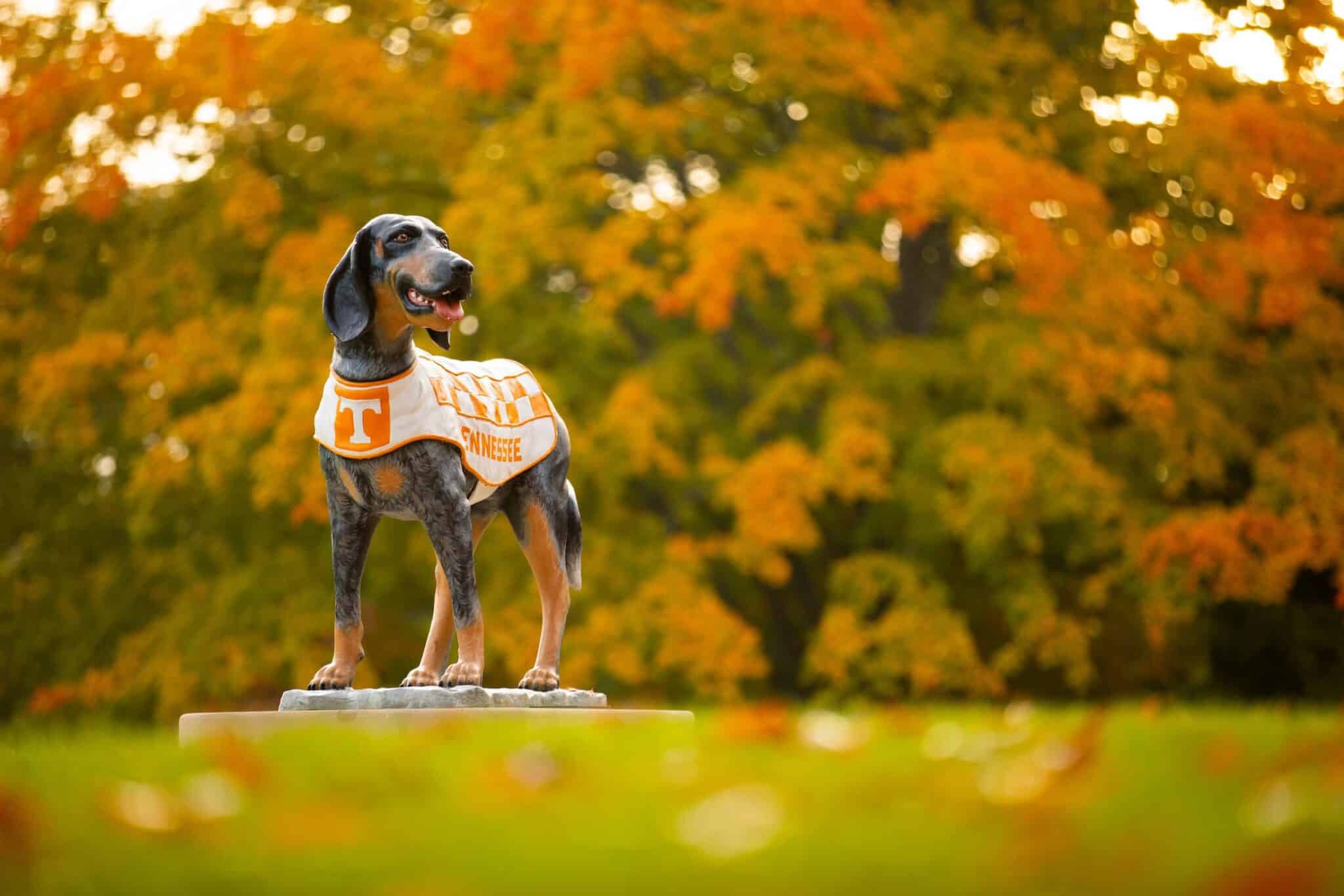 CECS Advising - College of Emerging and Collaborative Studies